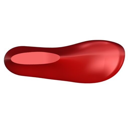 Shoe Lasts for Sale